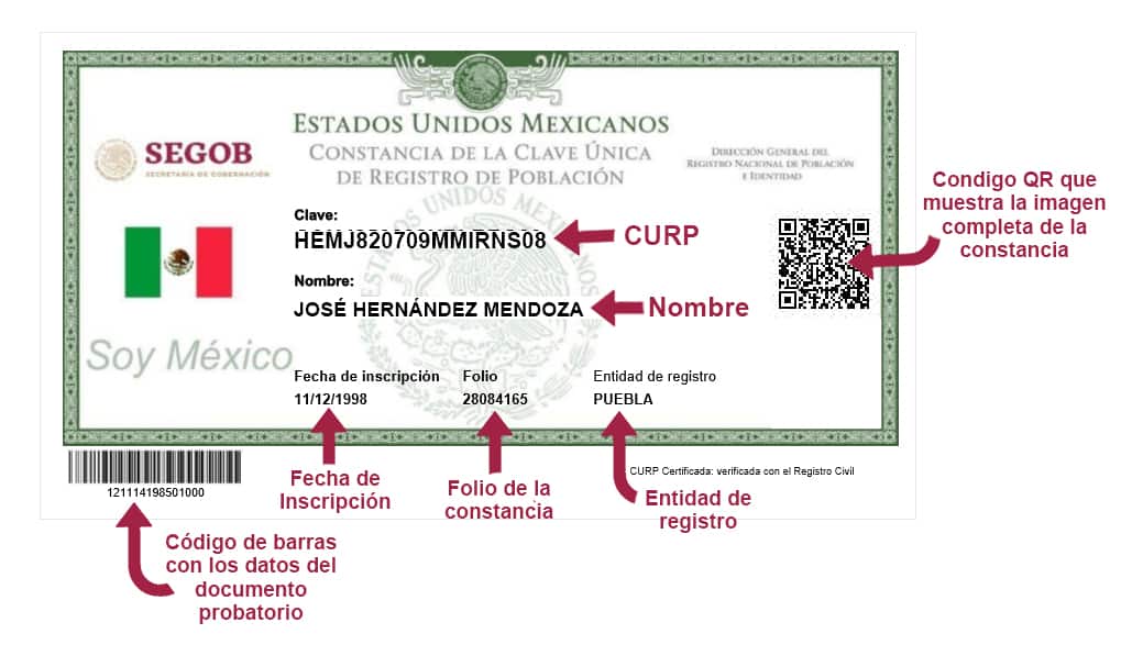 Consultar, Imprimir Y Sacar La CURP Gratis En Línea 2025