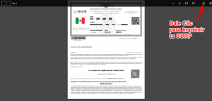 Imprimir CURP Nuevo Formato Y Descargar CURP En Línea
