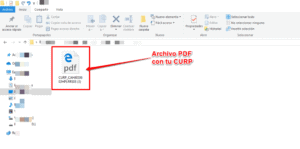 Imprimir CURP Nuevo Formato Y Descargar CURP En Línea