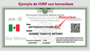 Cómo Consultar La CURP Con Homoclave E Imprimir
