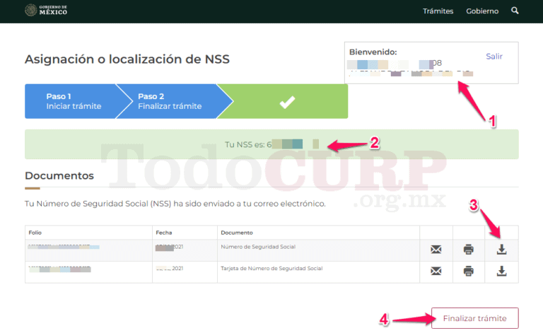 Cómo Consultar El NSS Con CURP - Todo CURP