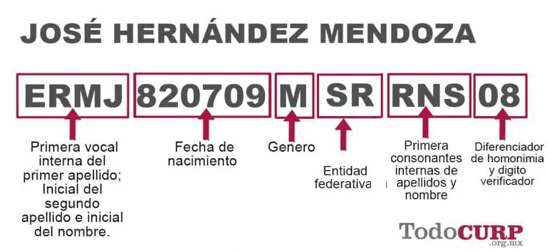 Cómo Se Compone La CURP. Con Ejemplos
