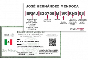 Cómo Se Compone La CURP. Con Ejemplos